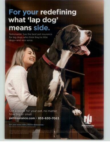 Nationwide Pet Insurance | Advertising Profile | See Their Ad Spend ...
