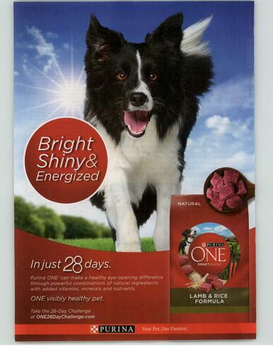 Nestle Purina PetCare | Advertising Profile | See Their Ad Spend ...