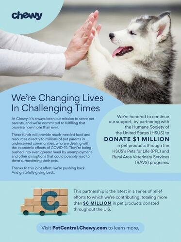 Chewy | Advertising Profile | See Their Ad Spend! | MediaRadar