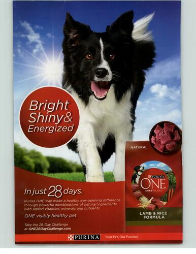 Purina ONE | Advertising Profile | See Their Ad Spend! | MediaRadar