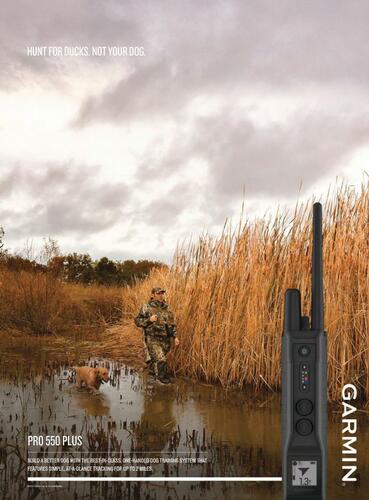 Garmin | Advertising Profile | See Their Ad Spend! | MediaRadar