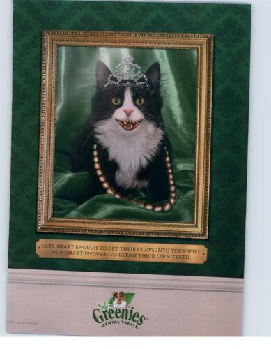 Greenies | Advertising Profile | See Their Ad Spend! | MediaRadar