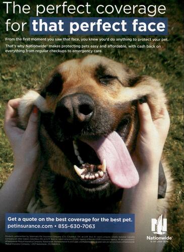 Nationwide Pet Insurance | Advertising Profile | See Their Ad Spend ...