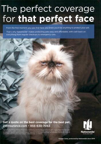 Nationwide Pet Insurance | Advertising Profile | See Their Ad Spend ...