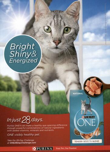 Purina ONE Cat Food | Advertising Profile | See Their Ad Spend ...