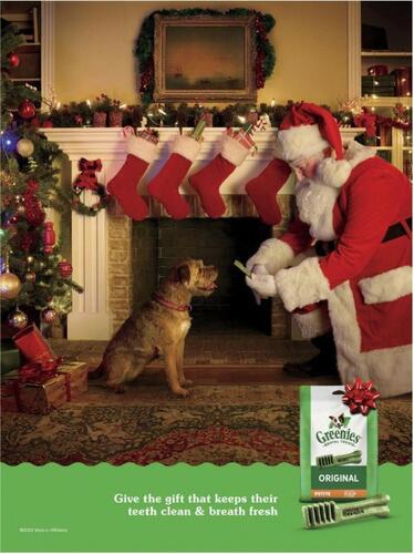 Greenies | Advertising Profile | See Their Ad Spend! | MediaRadar