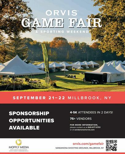 Orvis | Advertising Profile | See Their Ad Spend! | MediaRadar