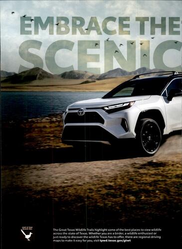 Toyota RAV4 Model Line | Advertising Profile | See Their Ad Spend ...
