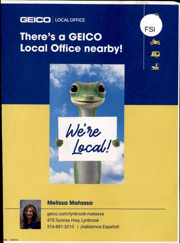 GEICO Insurance | Advertising Profile | See Their Ad Spend! | MediaRadar
