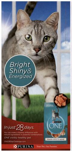 Nestle Purina PetCare | Advertising Profile | See Their Ad Spend ...