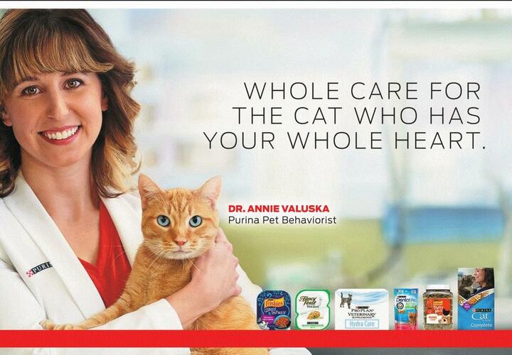 Purina Cats | Advertising Profile | See Their Ad Spend! | MediaRadar
