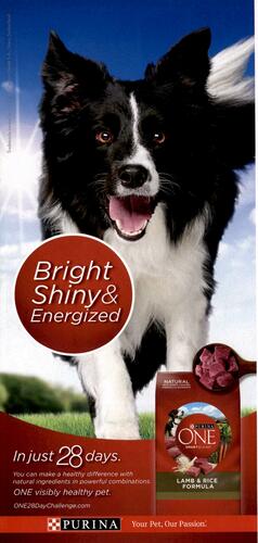 Purina ONE Dog Food | Advertising Profile | See Their Ad Spend ...