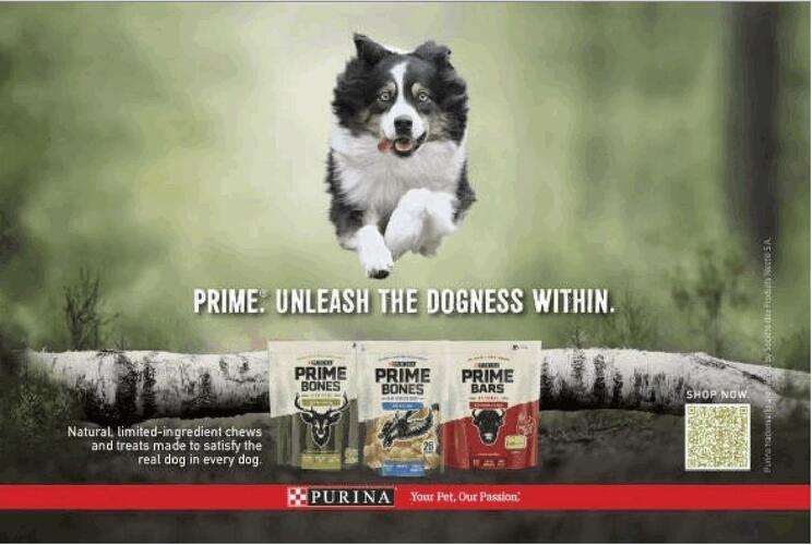 Purina Dogs | Advertising Profile | See Their Ad Spend! | MediaRadar