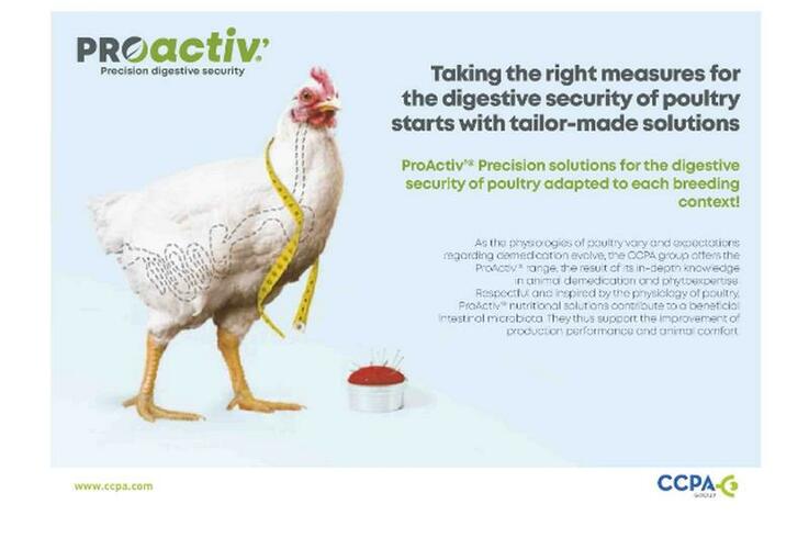 Proactiv | Advertising Profile | See Their Ad Spend! | MediaRadar