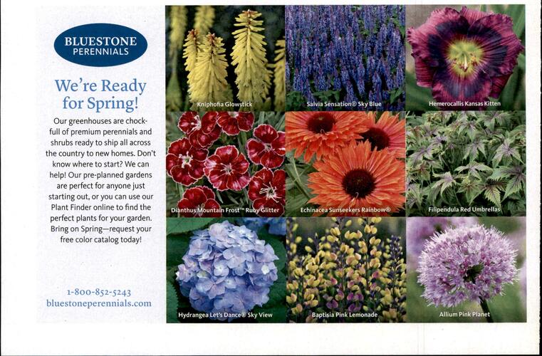 Bluestone Perennials | Advertising Profile | See Their Ad Spend ...
