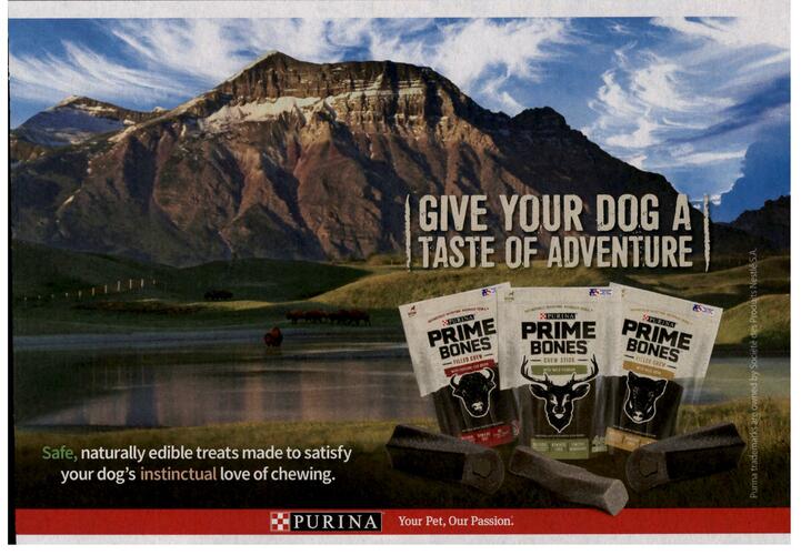 Purina Dogs | Advertising Profile | See Their Ad Spend! | MediaRadar