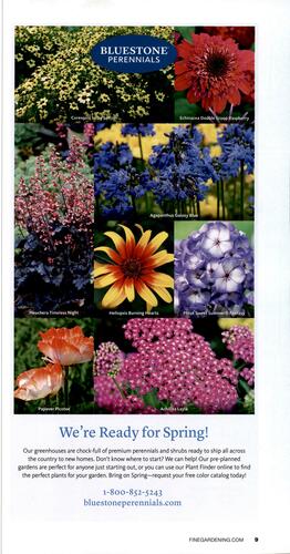 Bluestone Perennials | Advertising Profile | See Their Ad Spend ...