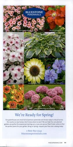 Bluestone Perennials | Advertising Profile | See Their Ad Spend ...